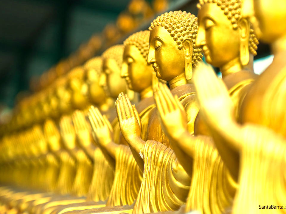 Walking with The Buddha